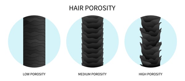 What is Hair Porosity and How to Tailor Your Tress Care Routine