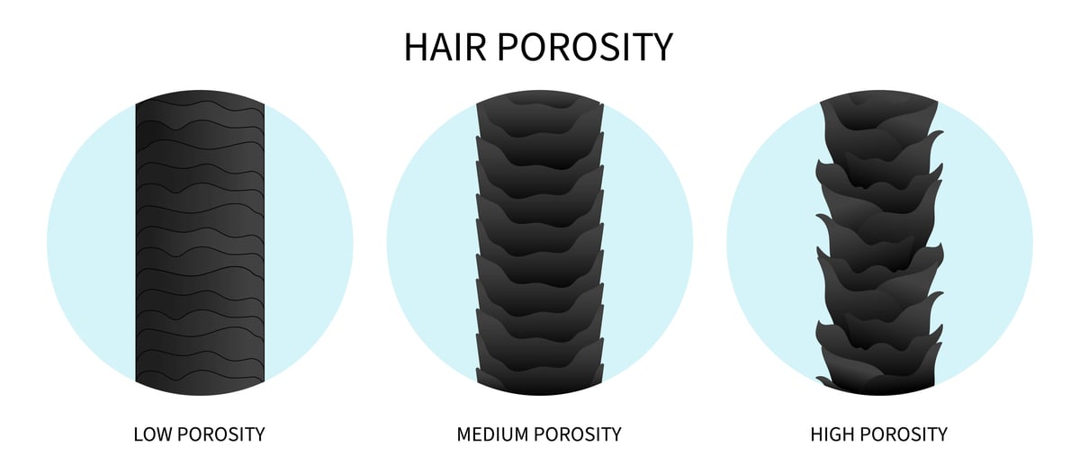 What is Hair Porosity and How to Tailor Your Tress Care Routine